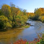 Home | Betsie River Canoes and Campground